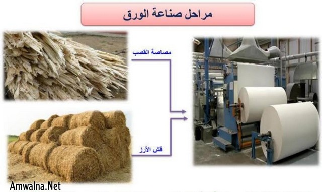 مراحل صناعة الورق؛ واهم 5 أدوات لصناعة الأوراق - موقع أموالنا